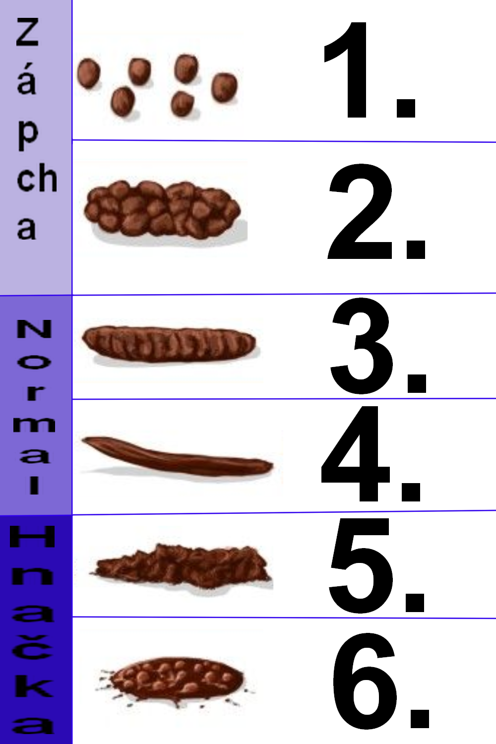 Dlaczego pies ma biegunkę, jak mu pomóc i co mu podawać? - Topden.sk